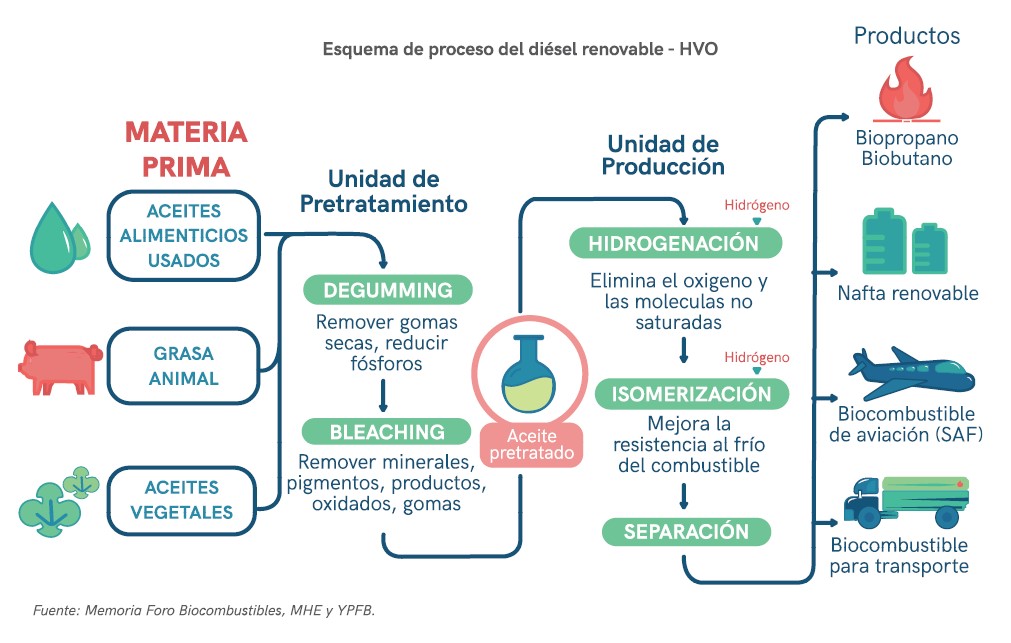 Los agrocombustibles, el biodiésel y el diésel renovable (HVO)