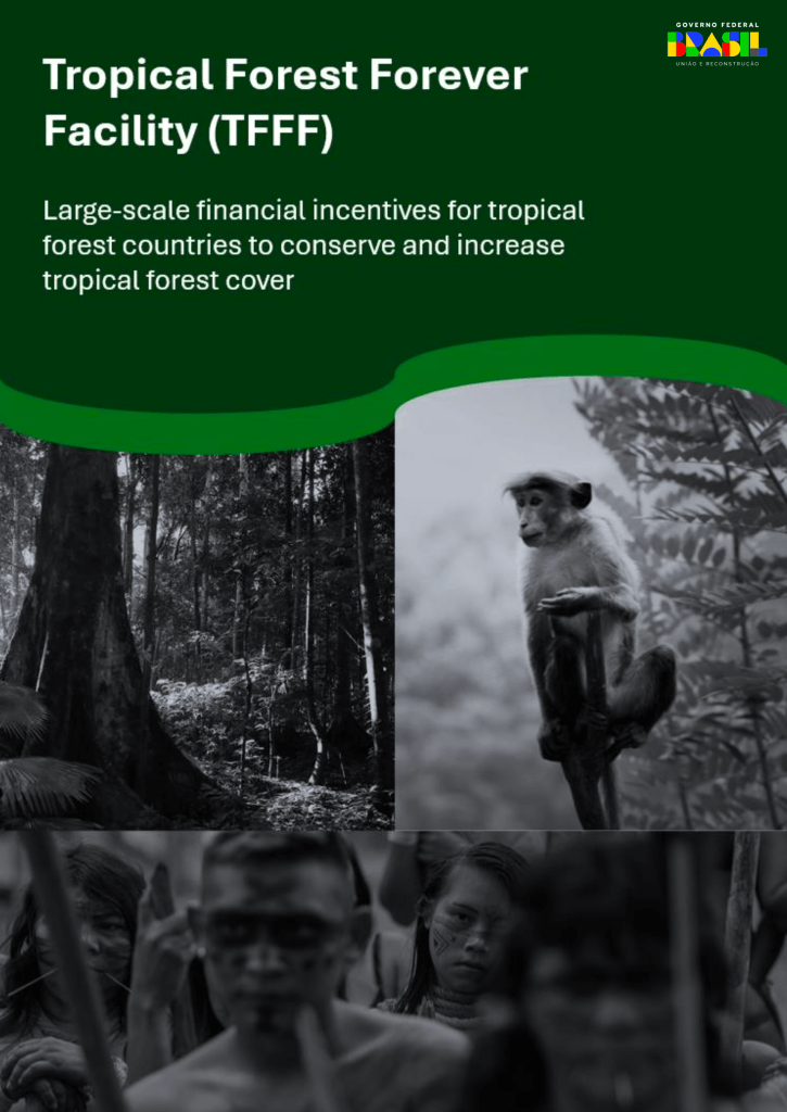 TFFF: Una falsa solución para los bosques tropicales